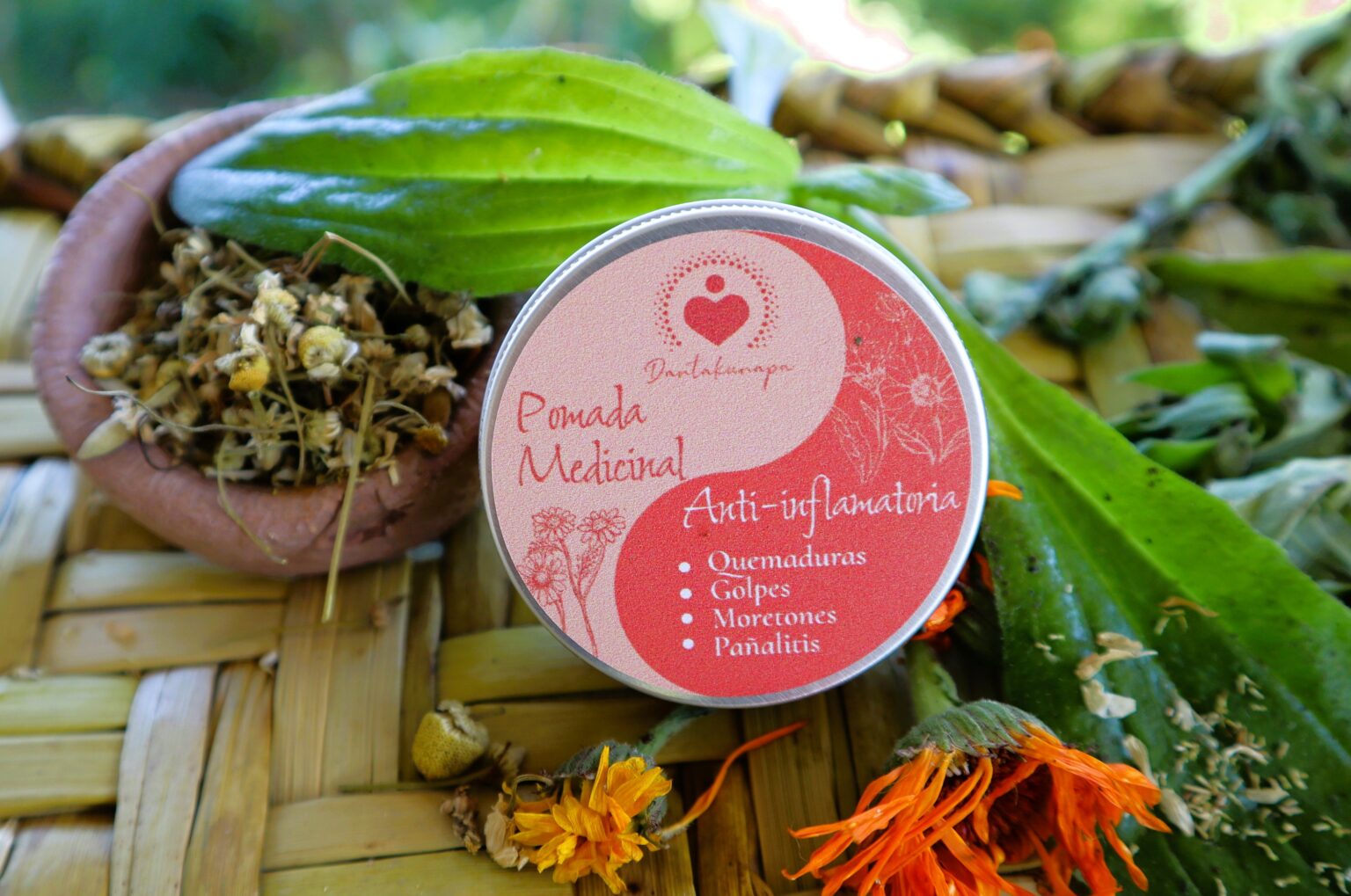 Pomada medicinal Anti-inflamatoria – Fundación Kindicocha
