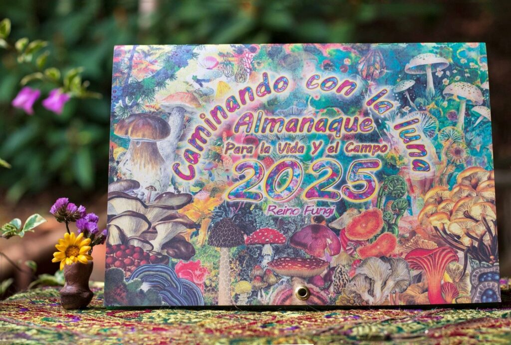 Almanaque Lunar Caminado con la Luna – Fundación Kindicocha